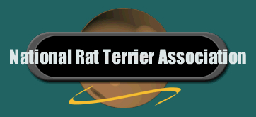 National Rat Terrier Association NRTA Club, Puppies Registry Breeders ...